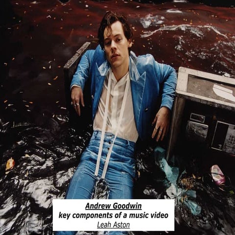 Andrew Goodwin theory | PPT