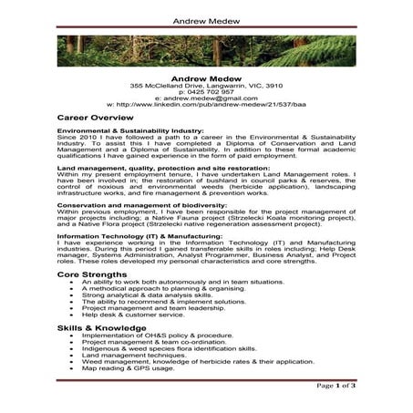 Finiza Bongani Curriculum Vitae | PDF