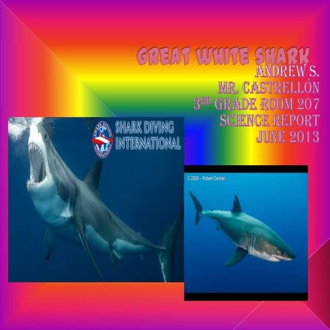 the great white shark by Andrew | PPTX