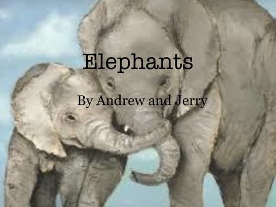 Elephants | PPT