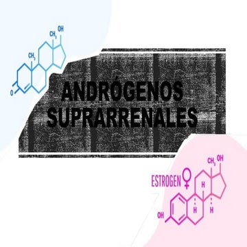 ANDRÓGENOS SUPRARRENALES Y HORMONAS .pptx