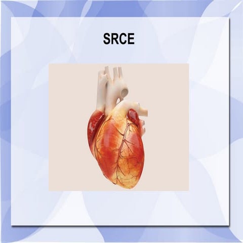 Andrijana nikolic i5 srce | PPT