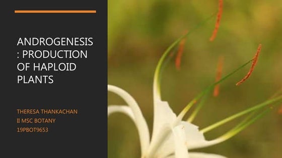 12 Production of Haploid Plants through androgenesis and gynogensis | PPT