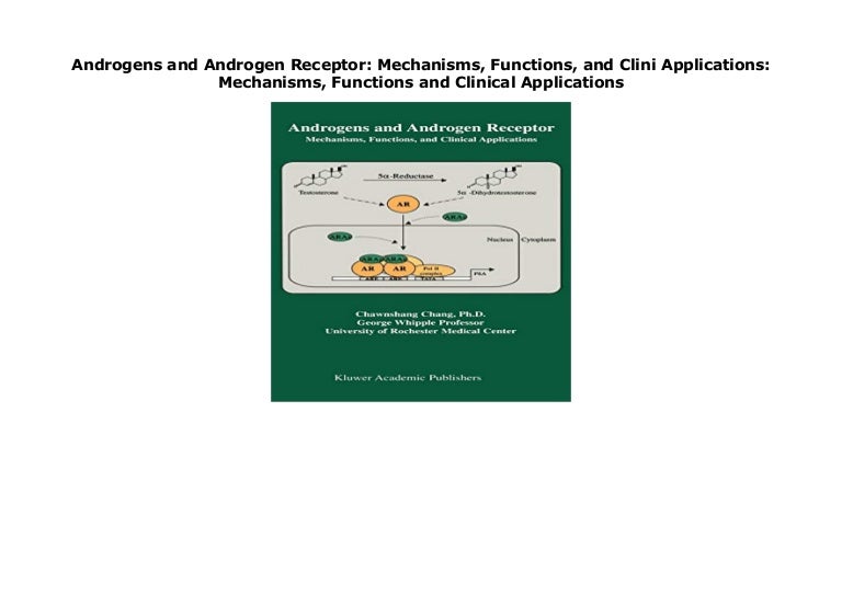 Androgens and Androgen Receptor: Mechanisms, Functions, and Clini App…