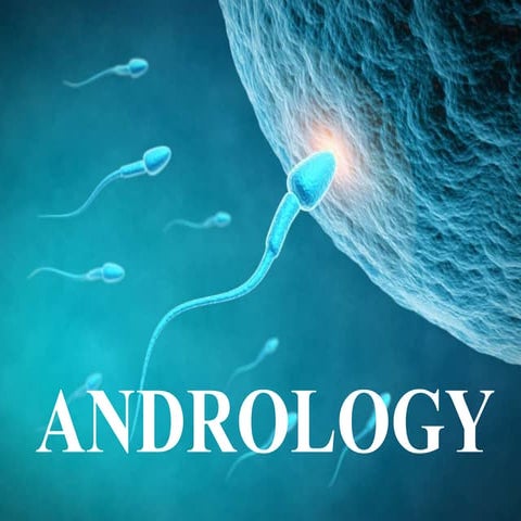 Austin Andrology | PPT
