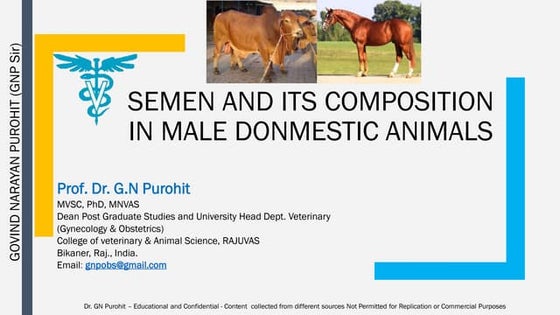 Andrology lecture 1 Technique of Artificial insemination in cattle | PDF