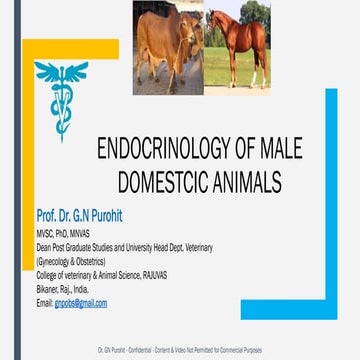 Andrology lecture 16 Semen collection from male animals and its ...