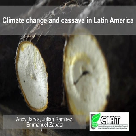 Modelling the future of cassava production in Asia | PDF