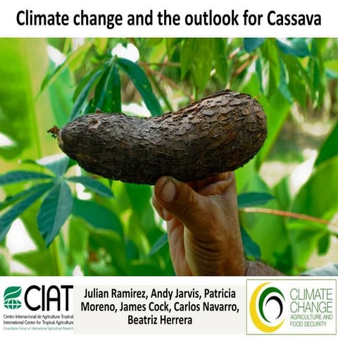 Andy J - Climate change and the outlook for cassava | PPT