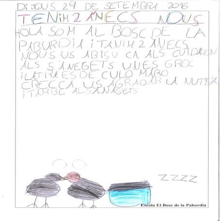 Anec 1 | PDF