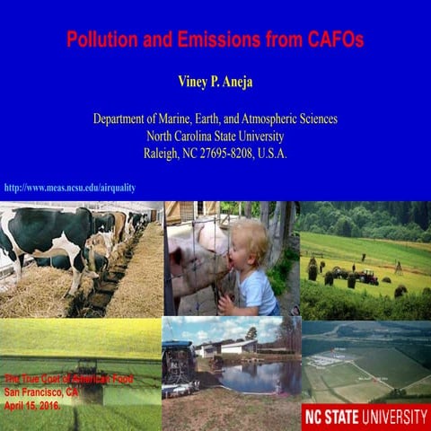 Viney Aneja - CAFOs | PPT