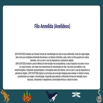 Anelídeos. ANELLIDA. FILO ANELLIDA. ANELIDEOS | PPTX