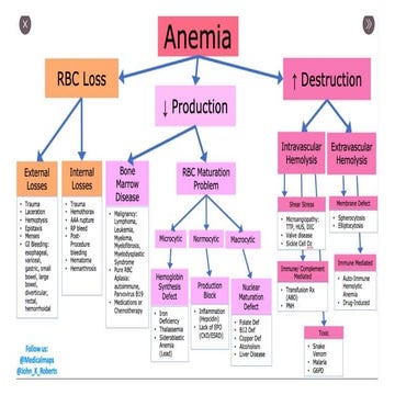 CLASIFICACIÓN FISIOPATOLÓGICA DE LAS ANEMIAS | PPT