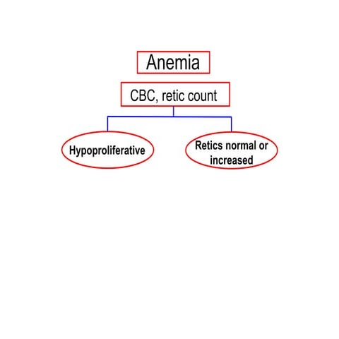 Anemia.ppt