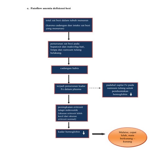 Anemia defisiensi besi | DOCX