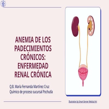 ANEMIA DE LOS PADECIMIENTOS CRONICOS ENFERMEDAD RENAL CRONICA | PPTX