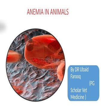 TYPES OF ANEMIA IN SMALL ANIMALS PRESENTATION | PPTX