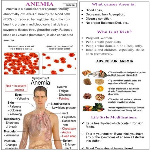 Anemia leaflet sudeep(4th year). | DOCX