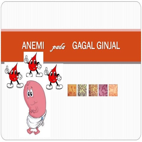 Anemia pada ckd .pdf