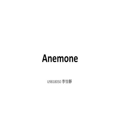 Anemone | PPT