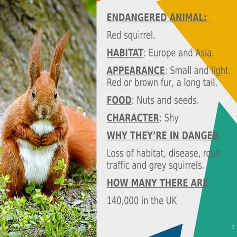 An endangered animal presentation | PPT