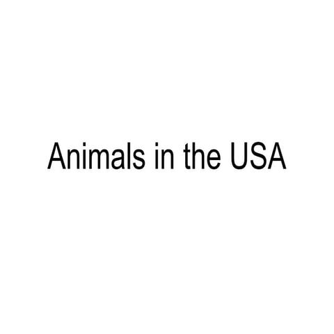 Aner animals | PPT
