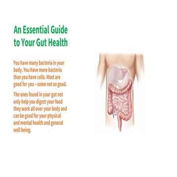 8 Key Issues: An Essential Guide to Your Gut Health | PDF