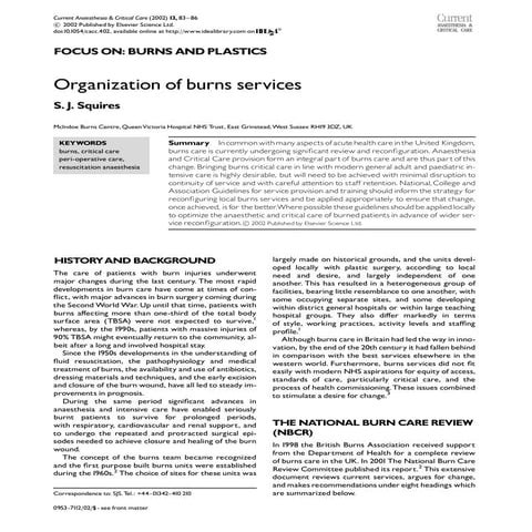GEMC: Burn Mass Casualty Incidents: Resident Training | PDF