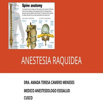 ANESTESIA RAQUIDEA HISTORIA ANATOMIA Y MANEJO.pptx