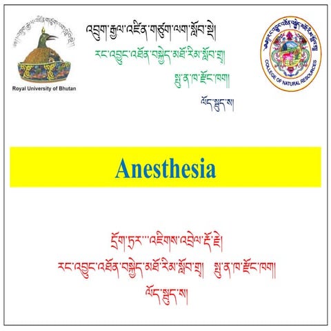 Anesthesia | PPTX