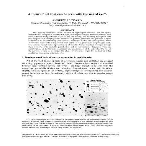 Time table of normal foetal brain development | PDF