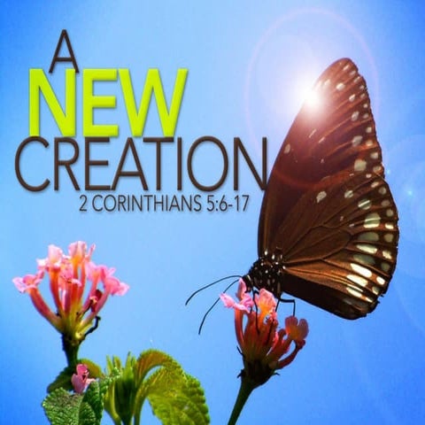 A New Creation | PPT