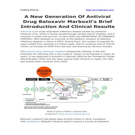 A new generation of antiviral drug baloxavir marboxil's brief ...