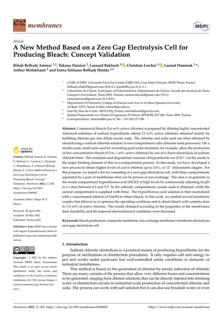 Lecture 12-Manufacturing of Caustic Soda NaOH.pdf | Chemistry | Science