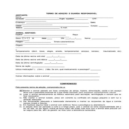 TERMO DE ADOÇÃO E GUARDA RESPONSÁVEL | DOC