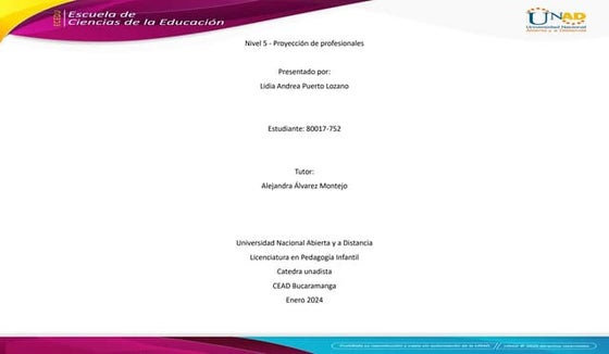 Andreapuerto10 presentations