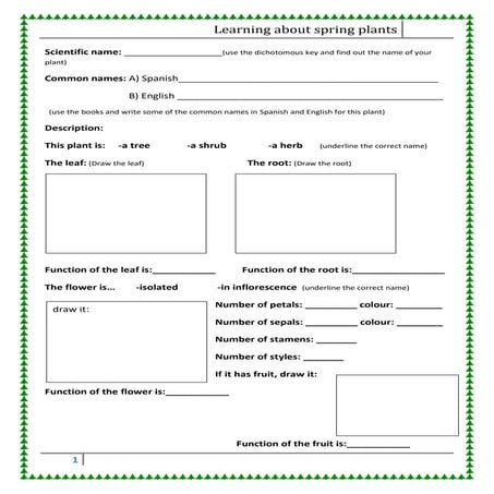 Dichotomous key | PPTX