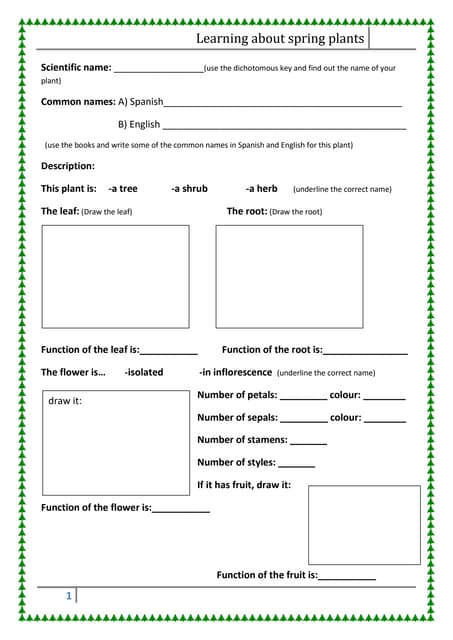 Dichotomous key presentation suitable for IGCSE Biology level | PPT ...