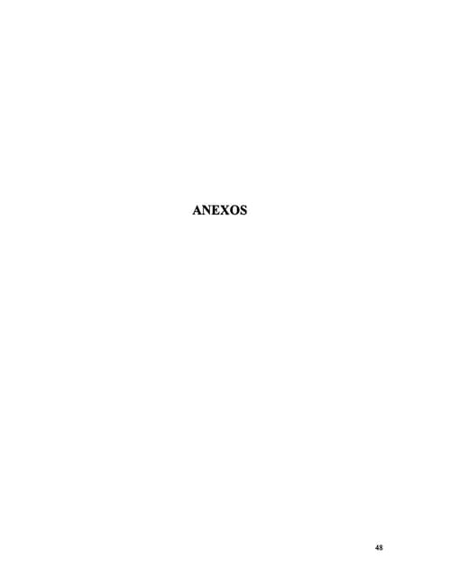 Anexos ridaa | PDF