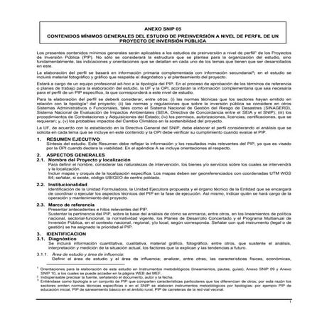 Contenido minimo de perfil 2021 segeplan | DOCX