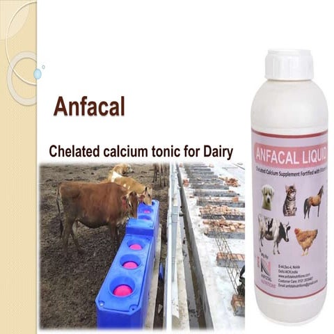 cattle calcium supplements | PPTX