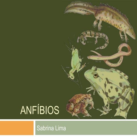 IV.2 Anfíbios | PDF