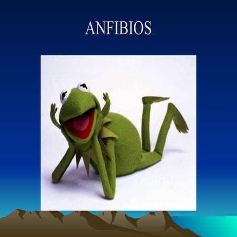 Anfibios | PPT