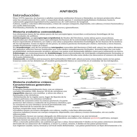 Los Anfibios por Eve Rivera | PPTX