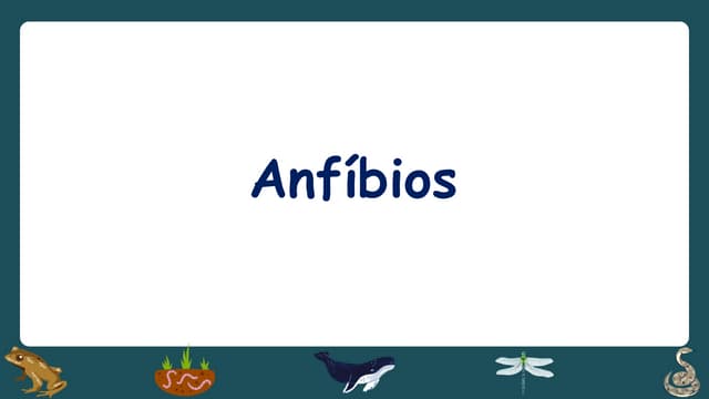 anfibios.ppt