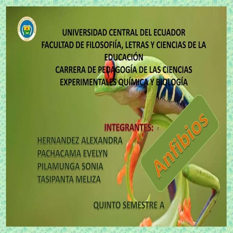 Anfibios expo | PPTX