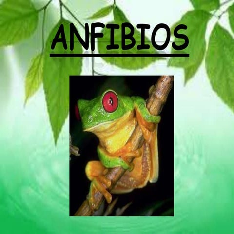 SESIÓN DE APRENDIZAJE_3_U7_IDENTIFICAMOS LAS CARACTERÍSTICAS DE LOS ...
