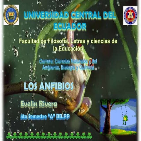 Los Anfibios por Eve Rivera | PPTX