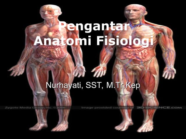 Pengantar Anatomi Fisiologi Manusia | PPT