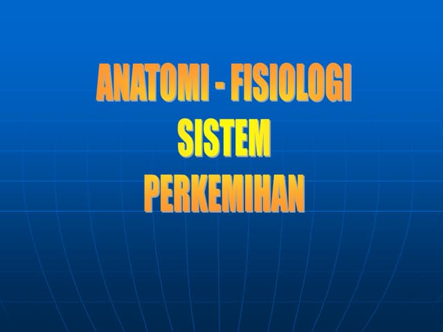 Anatomi ginjal | PPT